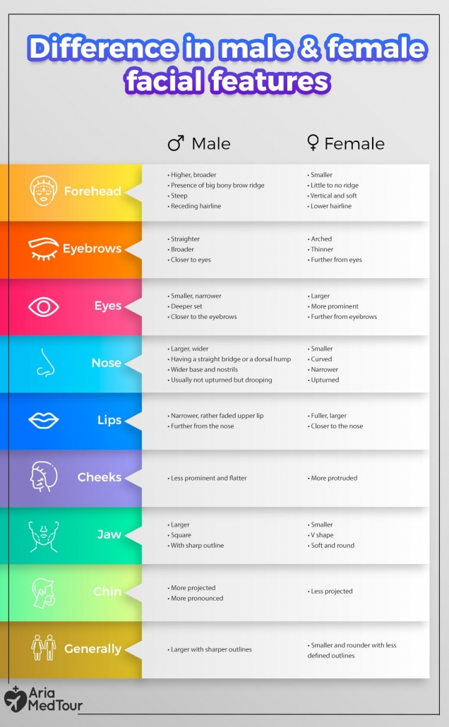 8 Key Differences Between Male and Female Facial Features