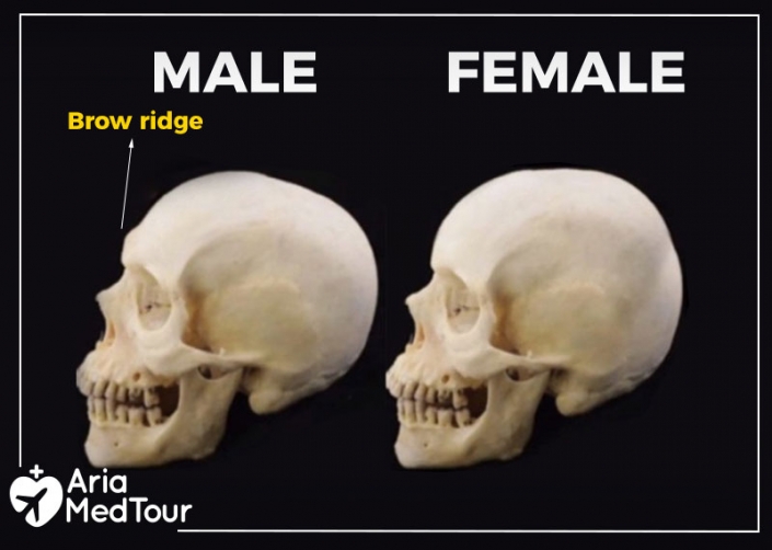 8 Key Differences Between Male and Female Facial Features